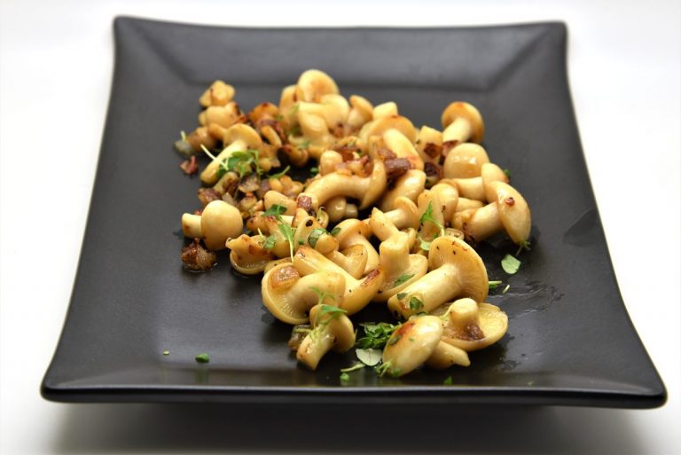 Gebratener weißer Buchenpilz (Shimeji) - Happi mit Silberschlappi